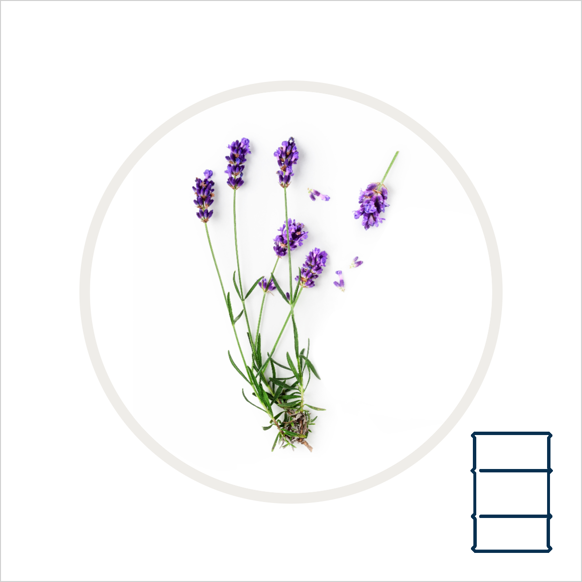 Lavender Absolute - Wholesale and Bulk - Bulgaria - Thracian Oils