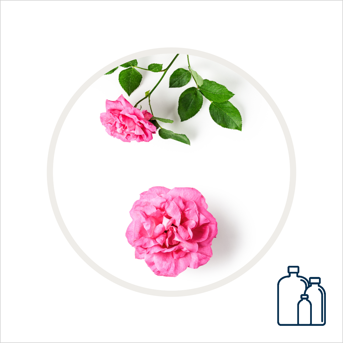 Rose Essential Oil Wholesale and Bulk - Bulgaria - Thracian Oils
